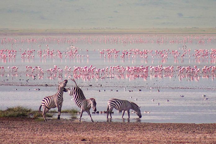 Ngorongoro Crater • The most interesting places, exciting holidays ...